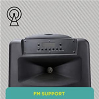 Buy Croma Trolley Music System CREY3024 SFPX2000 with Mic 240 W ...