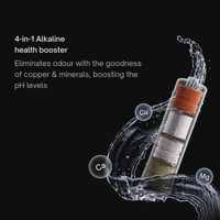 NATIVE By Urban Company M1 Copper | Needs no service for 2 years | 10 ...