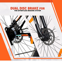 LEADER Beast 29T Multispeed (7 Speed) Bike & Dual Disc Brake 29 T (inch ...