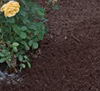 Ecogreen Cow dunk compost Organic Fertilizer, Manure, Potting Mixture ...