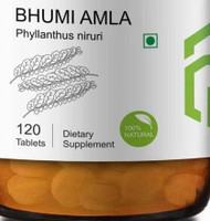Merlion Naturals Bhumi Amla Tablets Phyllanthus niruri, All Natural ...