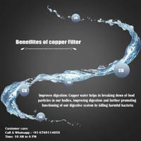 AQUA Epic Model 15 Ltr Copper filter+ Water filter Copper filter 15 L ...