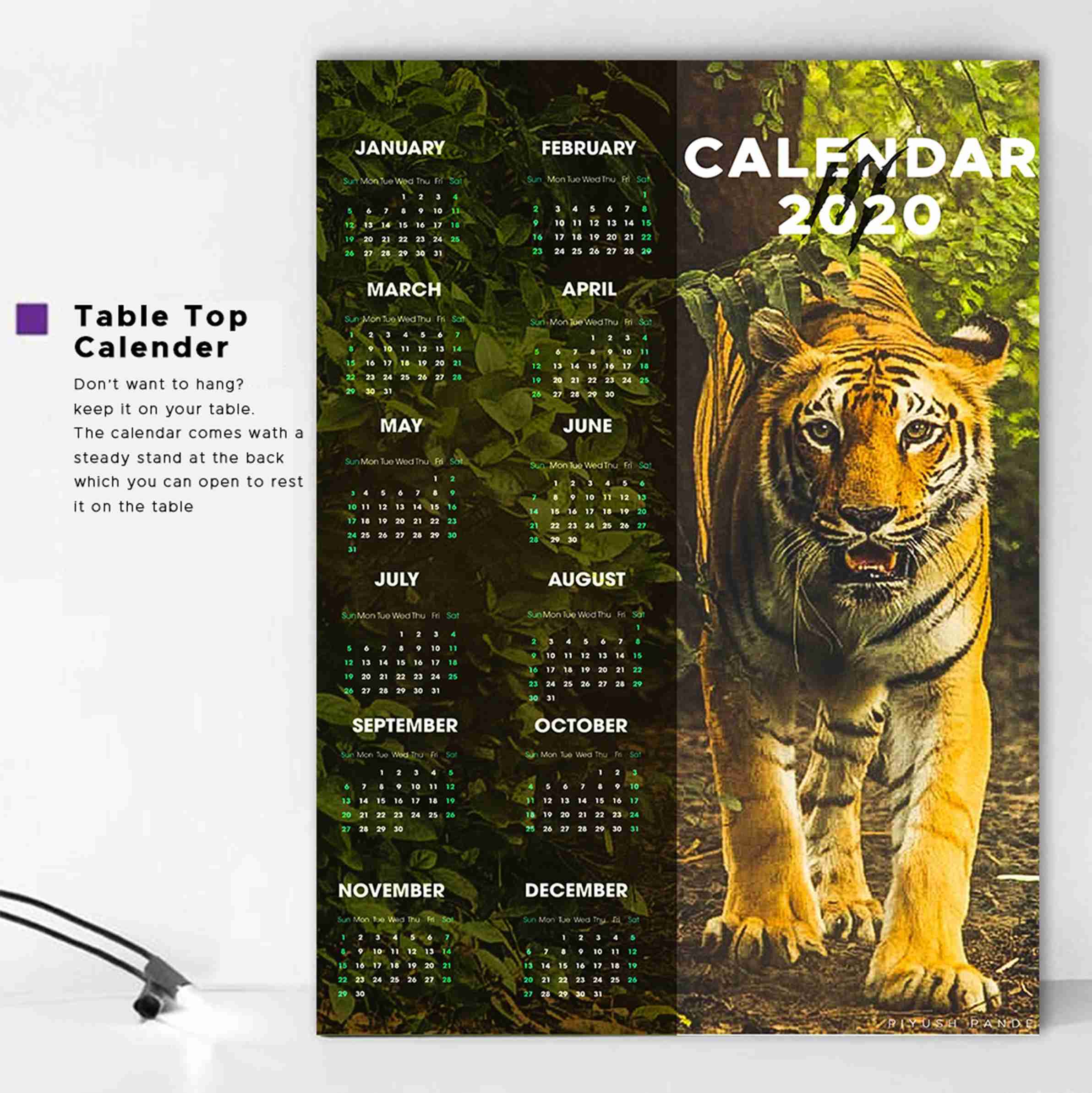 Piyush Pande Tabletop/Wall TIGER Calendar 2020 2020 Table Calendar ...