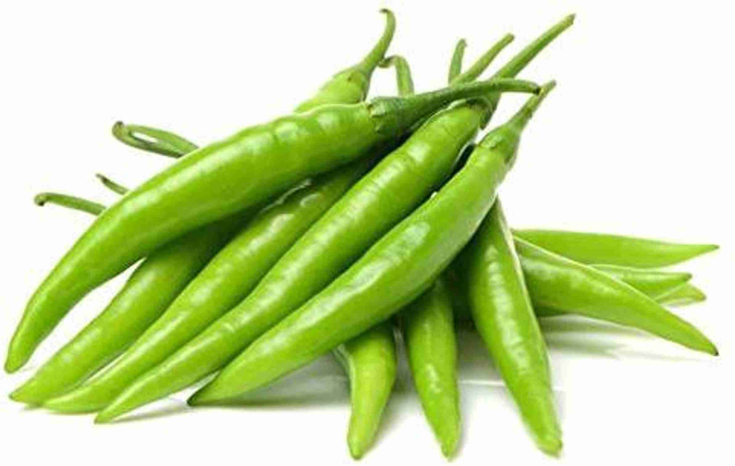 KANAYA Chilli Mirchi Seed Price in India - Buy KANAYA Chilli Mirchi ...