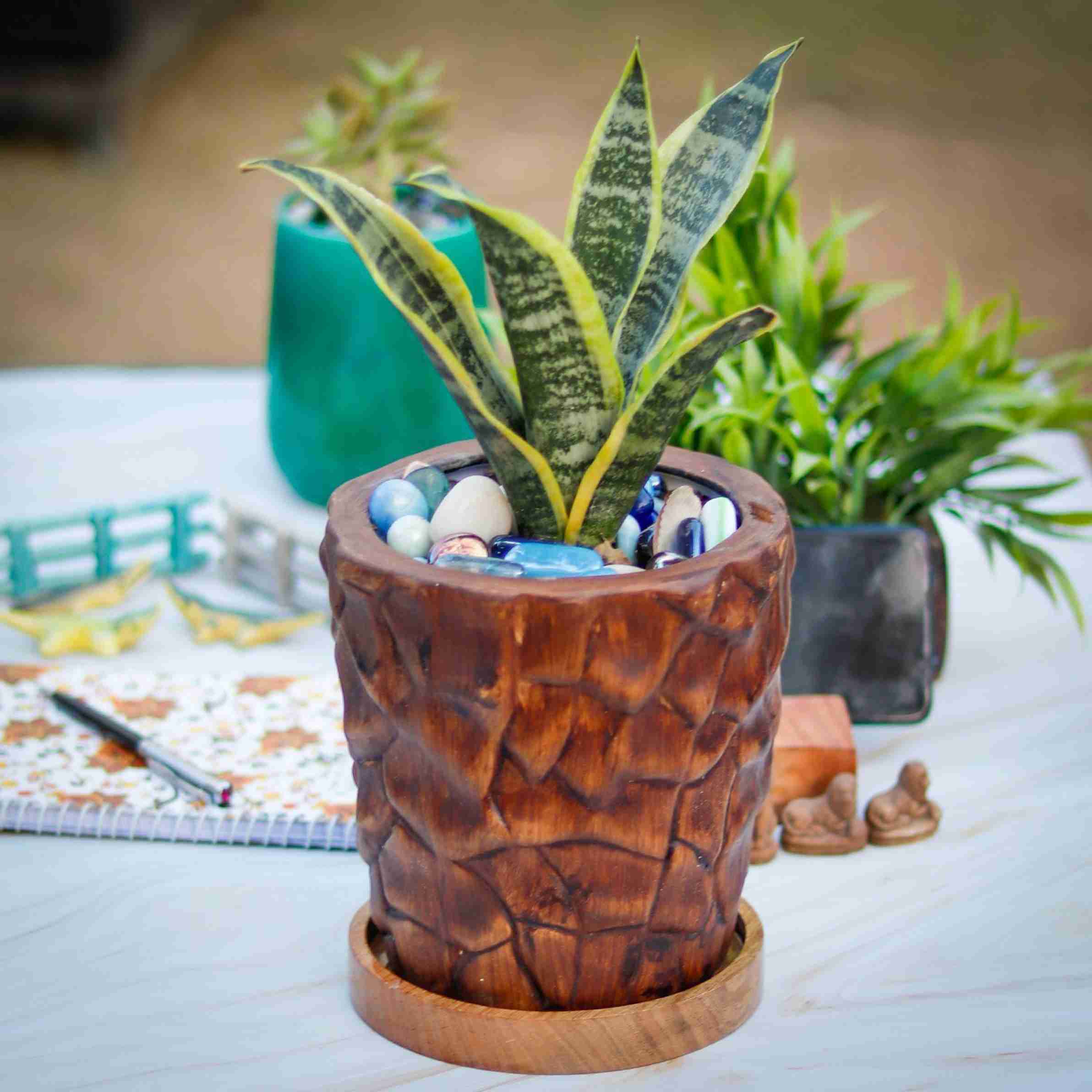 Lasaki Rustic Antique with Plate Wooden wp5.5 Ceramic Pots for Indoor ...