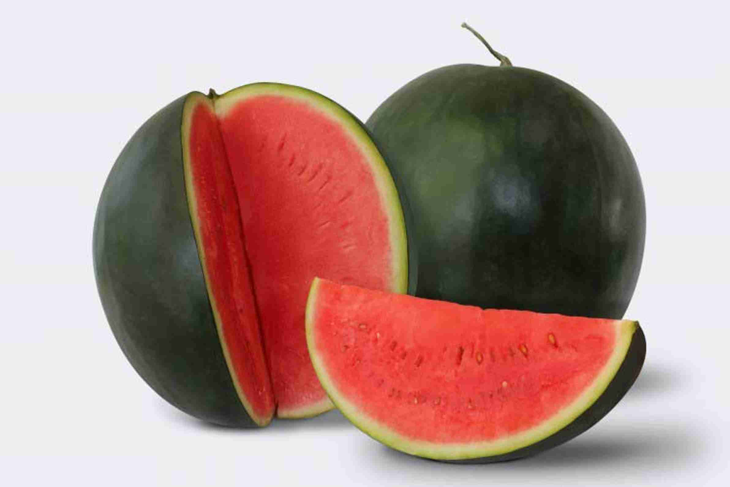 PEARL Watermelon Seed Price in India - Buy PEARL Watermelon Seed online ...