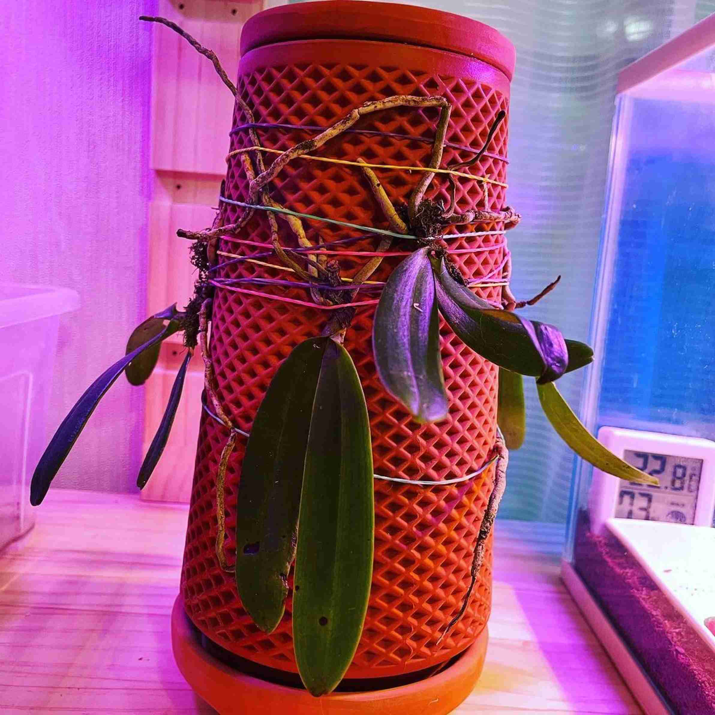 Mittiwala Mittiwala Terra planter Inside Out Planter pots hydroponics ...