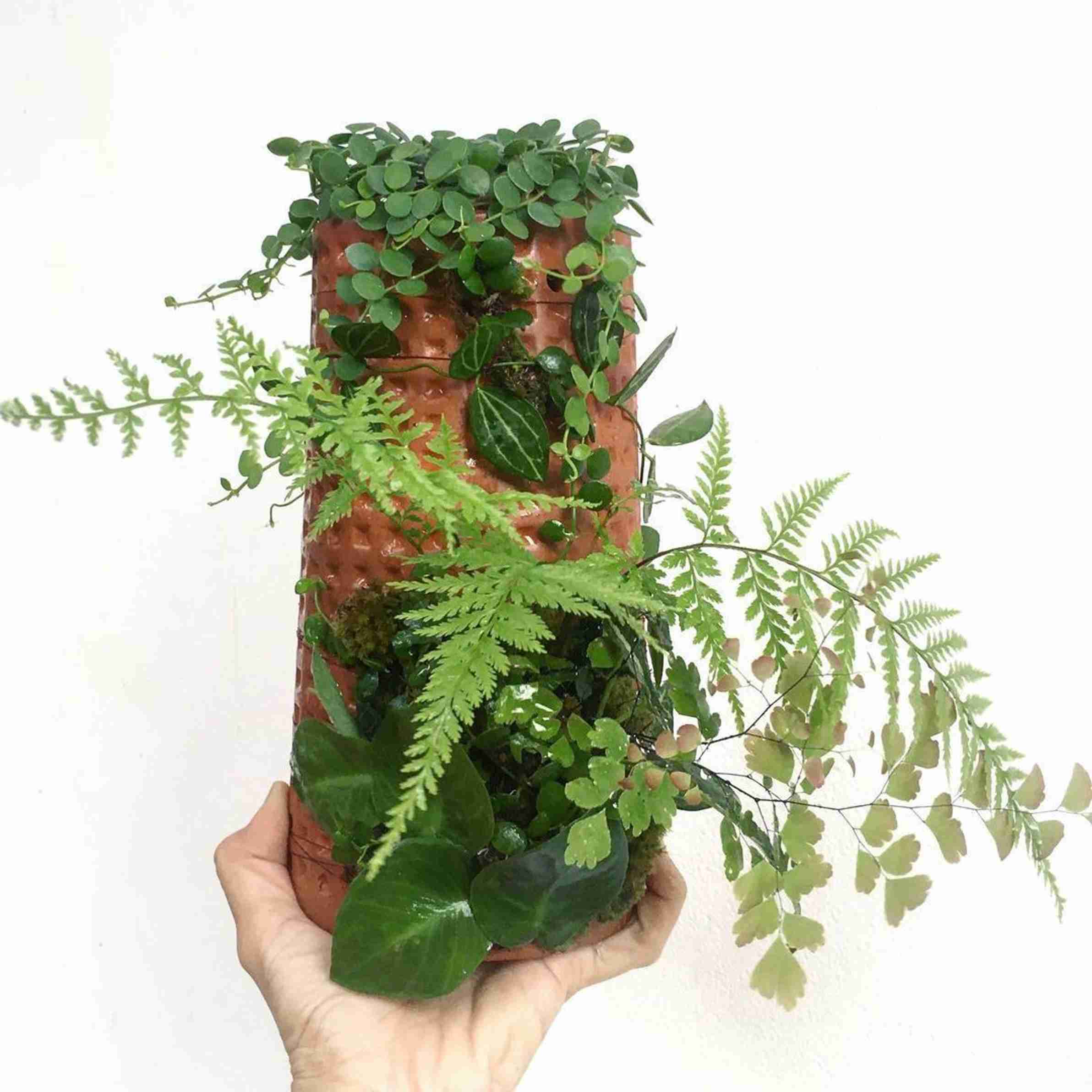 Mittiwala Mittiwala Terra planter Inside Out Planter pots hydroponics ...