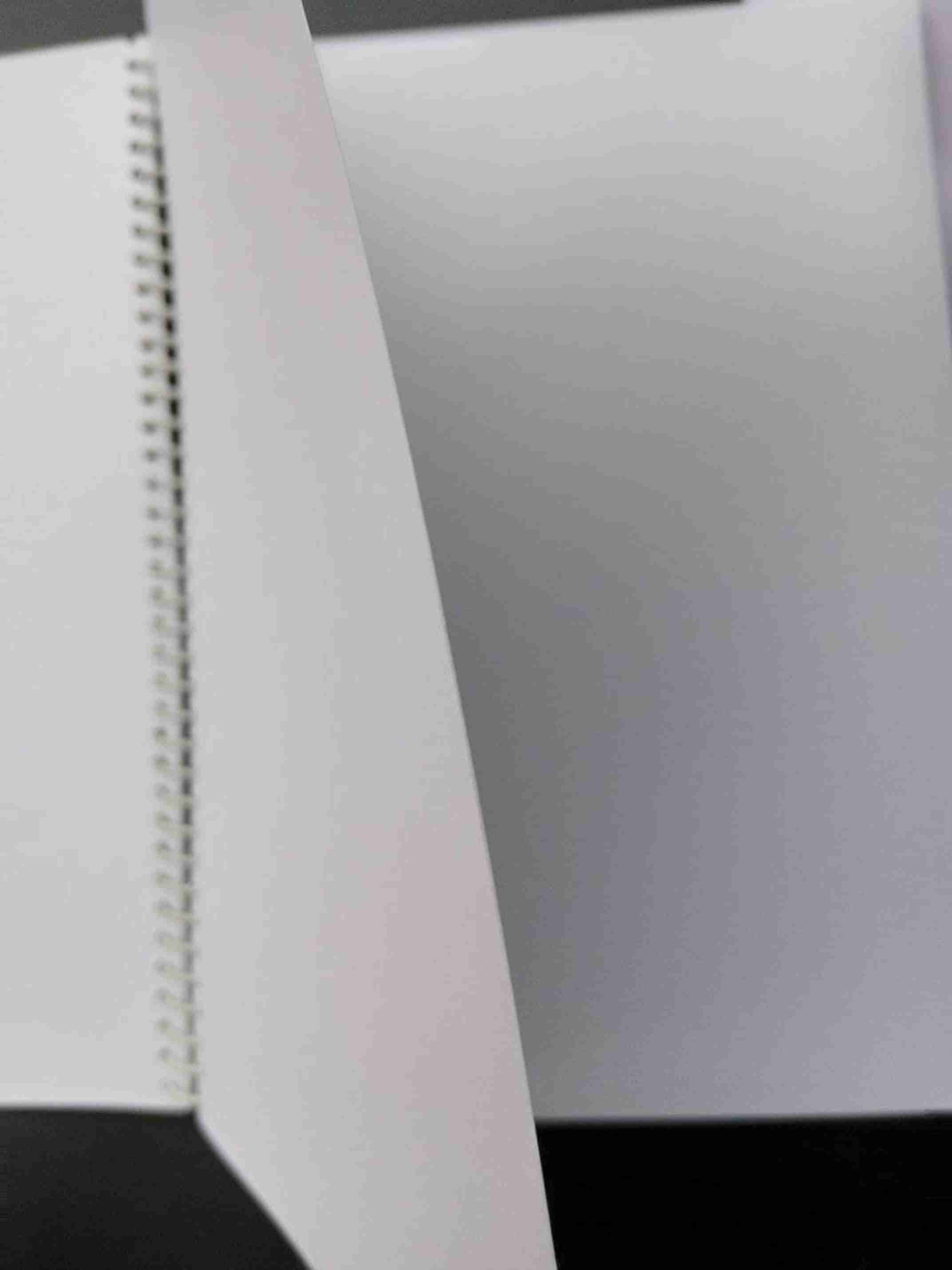 KRASHTIC Spiral Notebook A4 Size 200 Pages Unruled White Plain Page set ...