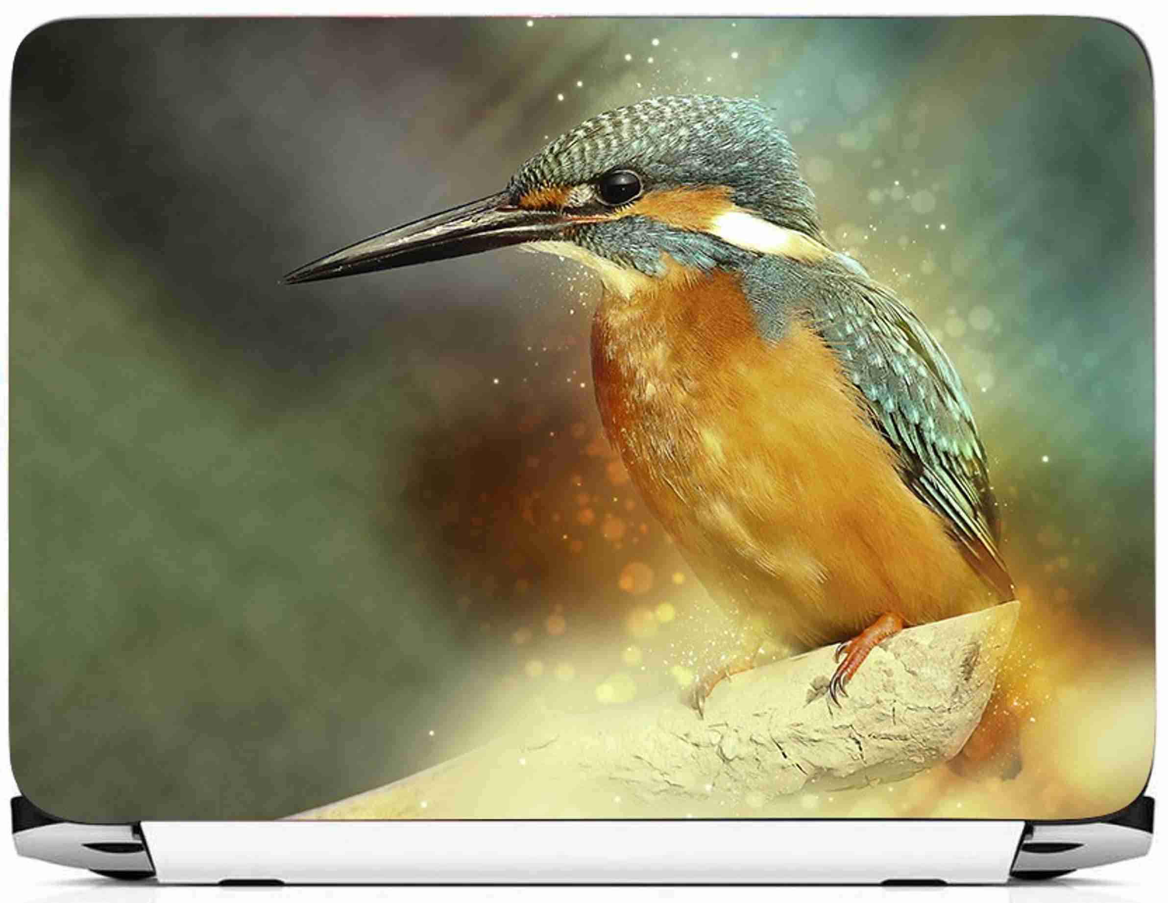PRINTHUBS Laptop Skins Decal Sticker for All Models 13 Inch Screen (13. ...