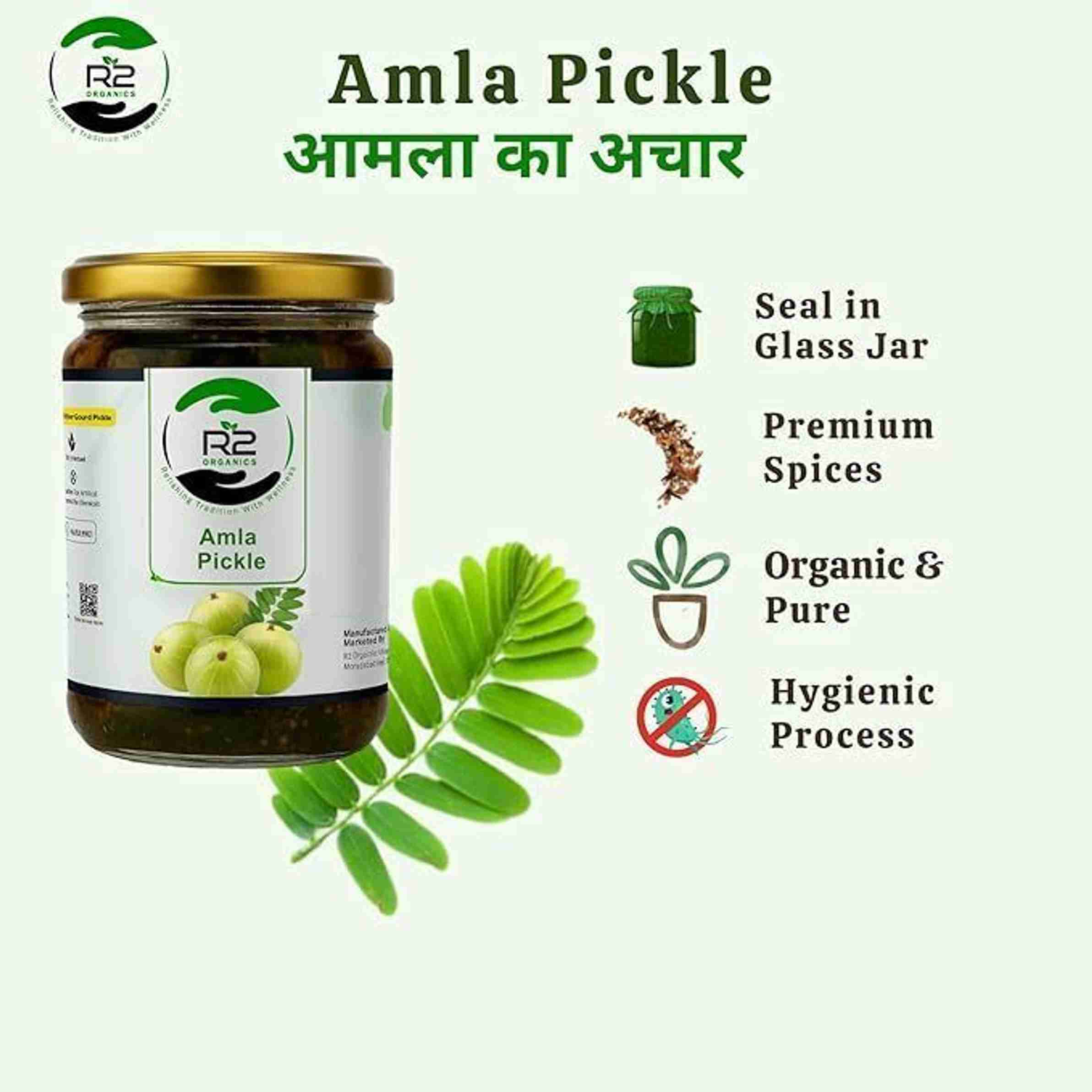 R2 Organics Amla Pickle, Homemade Sun Dried, Chemical-Free, Transparent ...