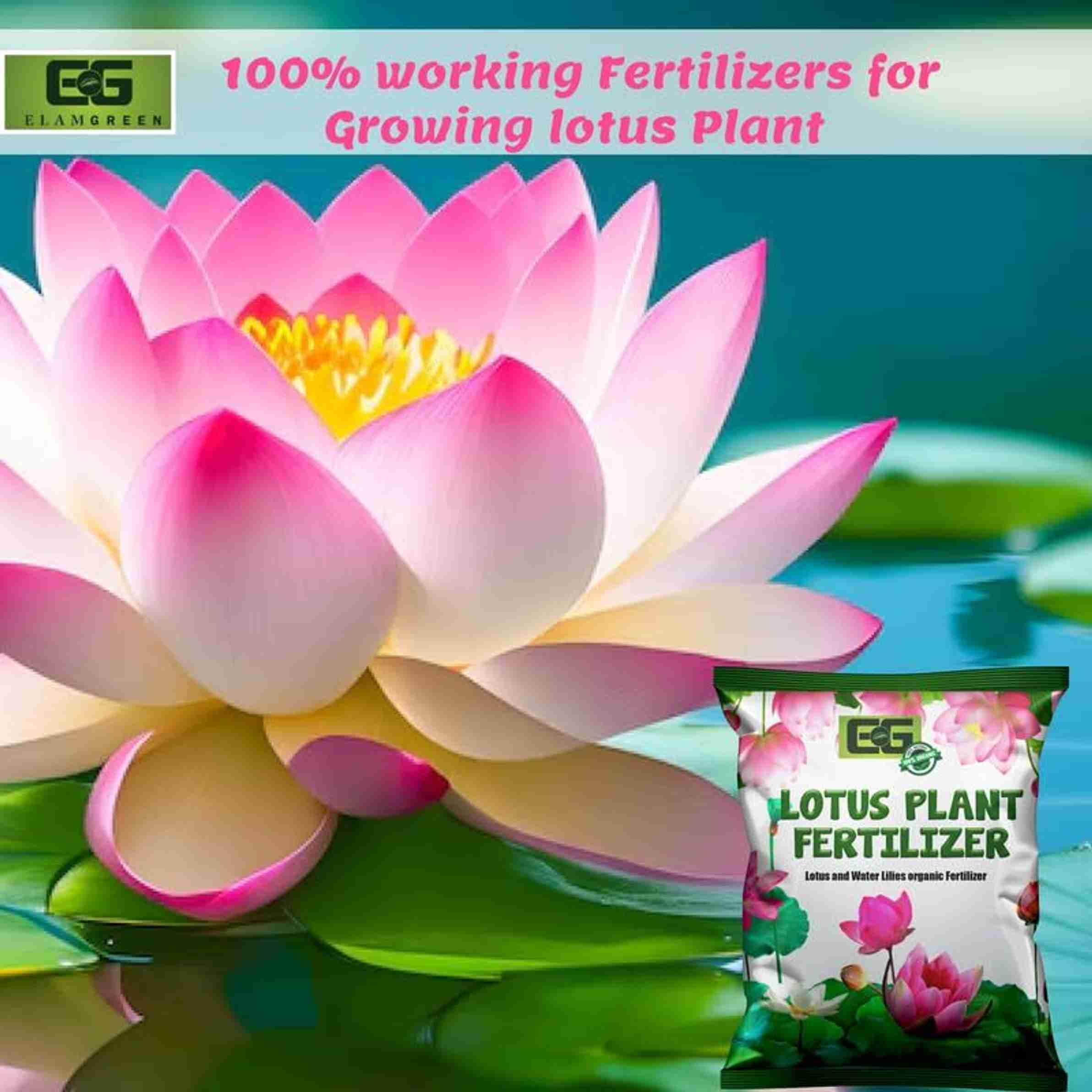 elamgreen Lotus Fertilizer for Pots & Ponds Fertilizer Price in India ...