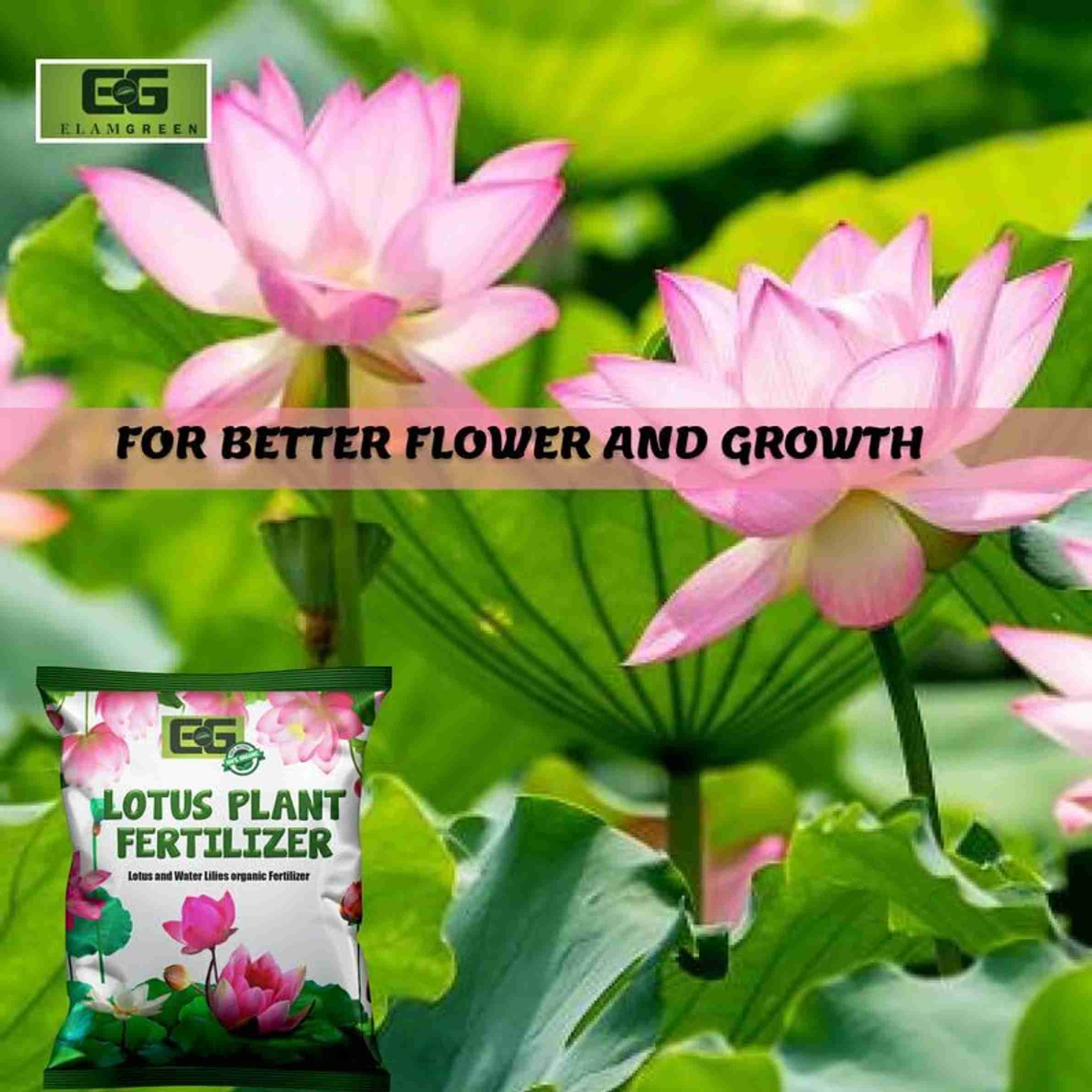 elamgreen Lotus Fertilizer for Pots & Ponds Fertilizer Price in India ...