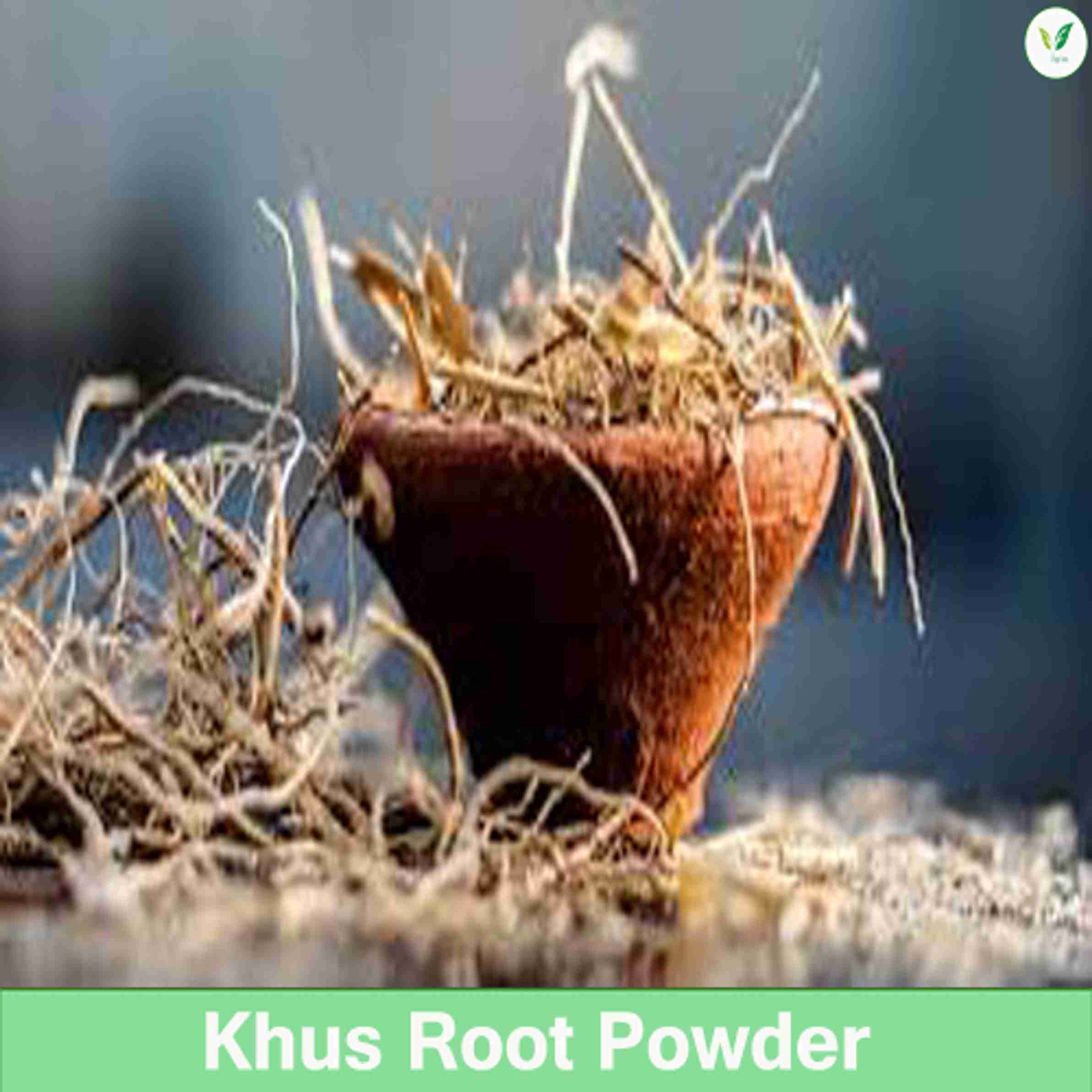 IAgriFarm 100% Natural Khus Root |Vettiver Root | Khus Root Powder 200 ...