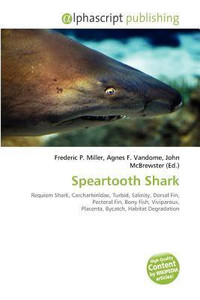 speartooth shark