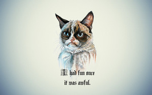 grumpy cat captions