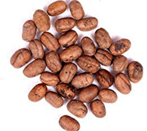 MGBN ASHOKA/NETTILINGAM/POLYALTHIA LONGIFOLIA TREE SEED - 50 GM (50 ...