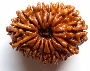 Rudraksha - Buy Rudraksha online at Best Prices in India | Flipkart.com