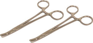 blunt artery forceps