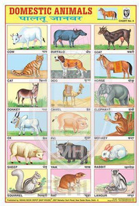 indian animals chart