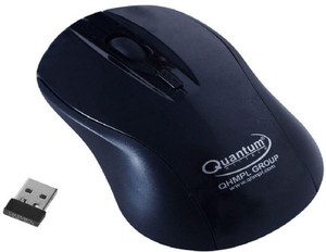 Quantum Mouse - Buy Quantum Mouse Online at Best Prices In India ...