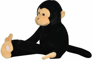 chimp gifts