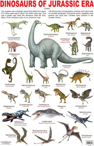 dinosaur chart ncert