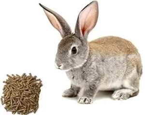 Buy Products Online at Best Price in India - All Categories | Flipkart.com