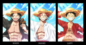 One Piece Matte Finish Poster Paper Print - Animation & Cartoons ...