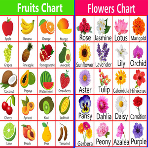flower vegetables chart