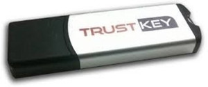 TrustKey Token USB For GST (pack of 1) 32 GB Pen Drive Compatible with ...