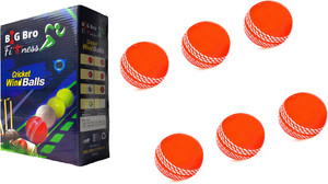 BIG BRO FITNESS Synthetic wind ball stitched by machine Cricket ...