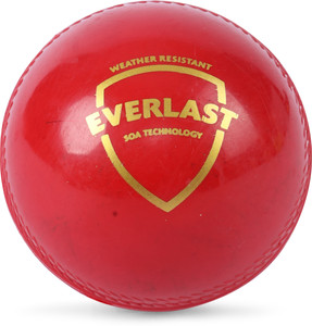 Sg Cricket - Buy Sg Cricket Online at Best Prices In India | Flipkart.com