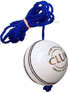 Buy Cricket Training Ball Online at Best Prices | Cricket Kits