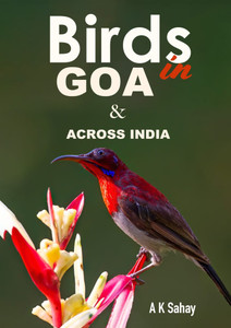Birds in Goa & Across India - (Foreword by Great Carol Inskipp): Buy ...