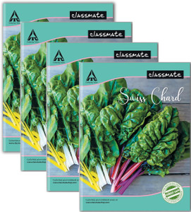 Buy Classmate Notebooks Online | Stationery | Flipkart.com