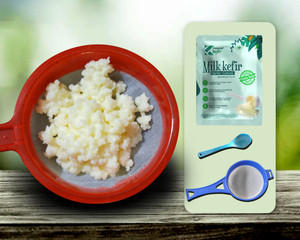 Hgfdd Digestive Probiotic - Buy Hgfdd Digestive Probiotic Online at ...