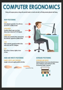 signXpert Computer Ergonomics poster (A4) Emergency Sign Price in India ...