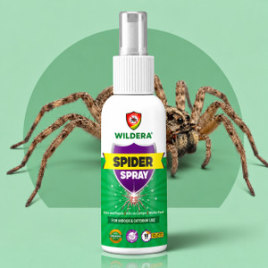 WILDERA Spider Repellent Spray, Natural Formula, - Buy Baby Care ...