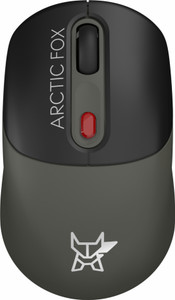 Arctic Fox Mouse - Buy Arctic Fox Mouse Online at Best Prices In India ...