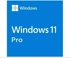 MICROSOFT Windows 11 Professional Edition Full Retail Version (1 User ...