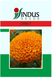 Indus INDUS Seed Price in India - Buy Indus INDUS Seed online at ...