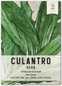Cilantro Fresh Culantro Seeds,Recao,A.K.A;Vietnamese Coriander,Thai ...