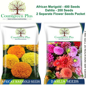 Flower Seeds Online in India | Flipkart | 11-Jul-25