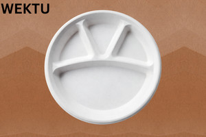 WEKTU Disposable Bio Plate 11 Inch/36 Sectioned Plate Price in India ...