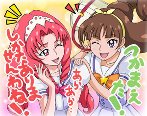 Precure Pretty Cure Anime Series hd Matte Finish Poster Print Paper ...