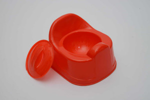 Buy Baby Potty Seats Online in India | Baby Care | Flipkart.com