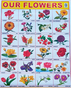 flower chart with names