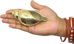 Authentic Shankh & Conch Shells - Pooja Items