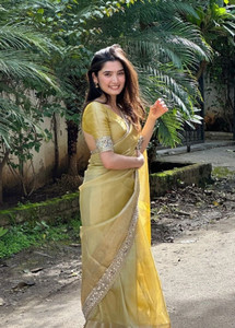 Buy Nxshopy Self Design, Woven, Embellished, Solid/Plain Bollywood Net ...
